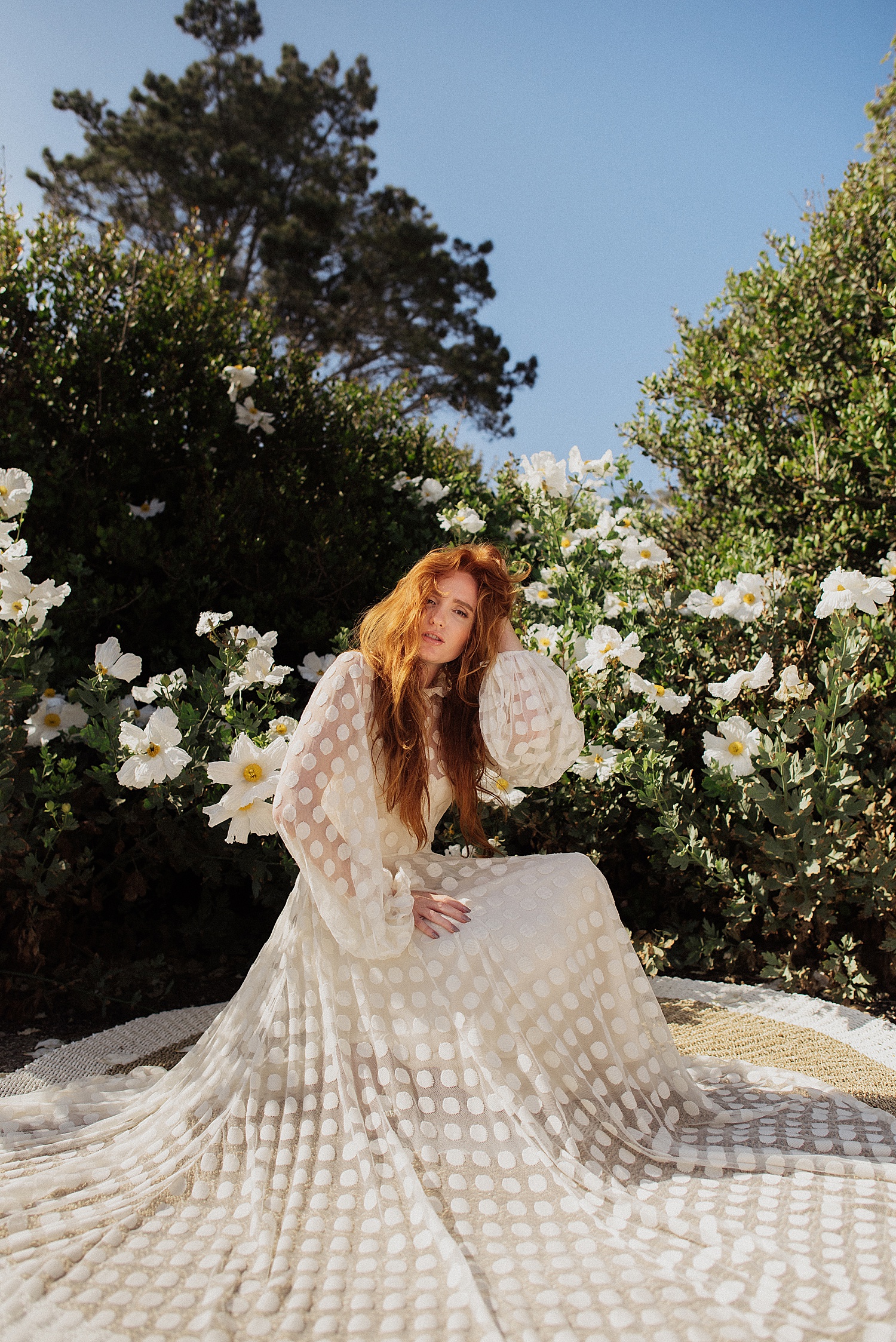 How to Photograph in Harsh Light - Eden Strader Blog