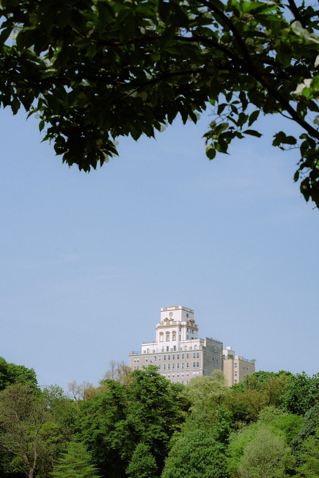 3 tips for shooting in harsh light - Eden Strader Blog