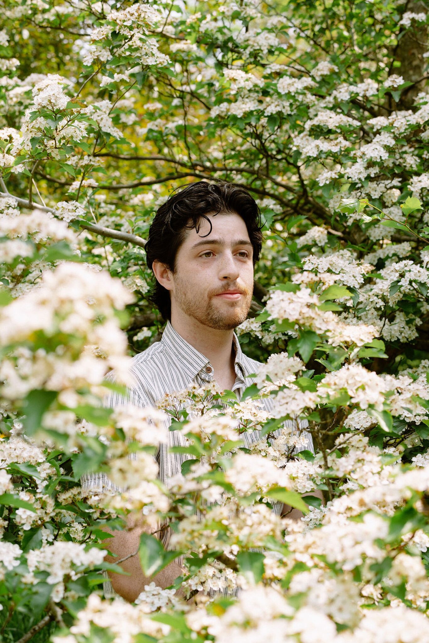 3 tips for shooting in harsh light - Eden Strader Blog