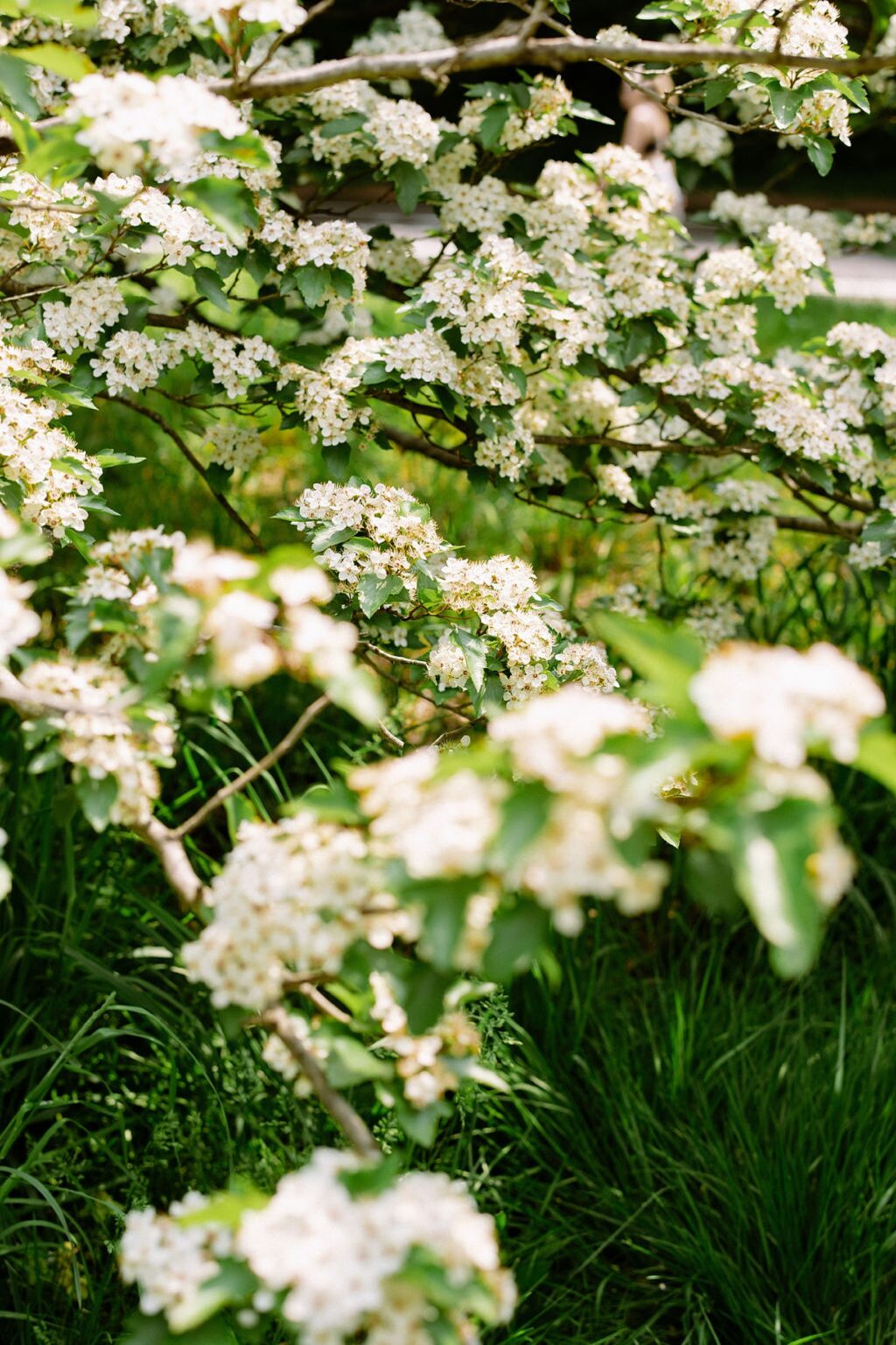 3 tips for shooting in harsh light - Eden Strader Blog