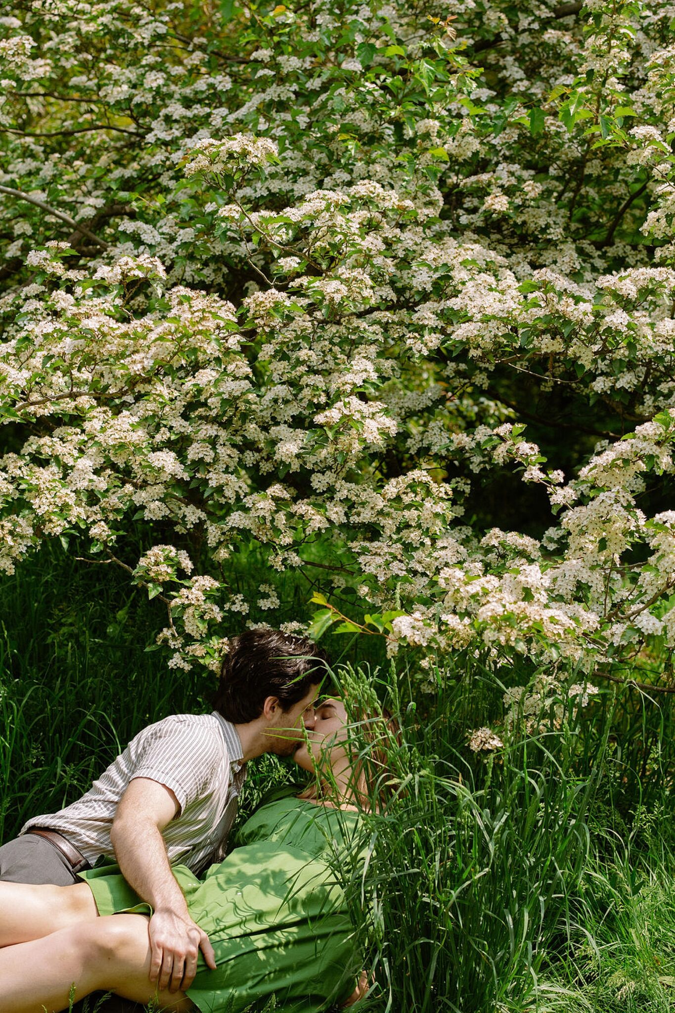 3 tips for shooting in harsh light - Eden Strader Blog