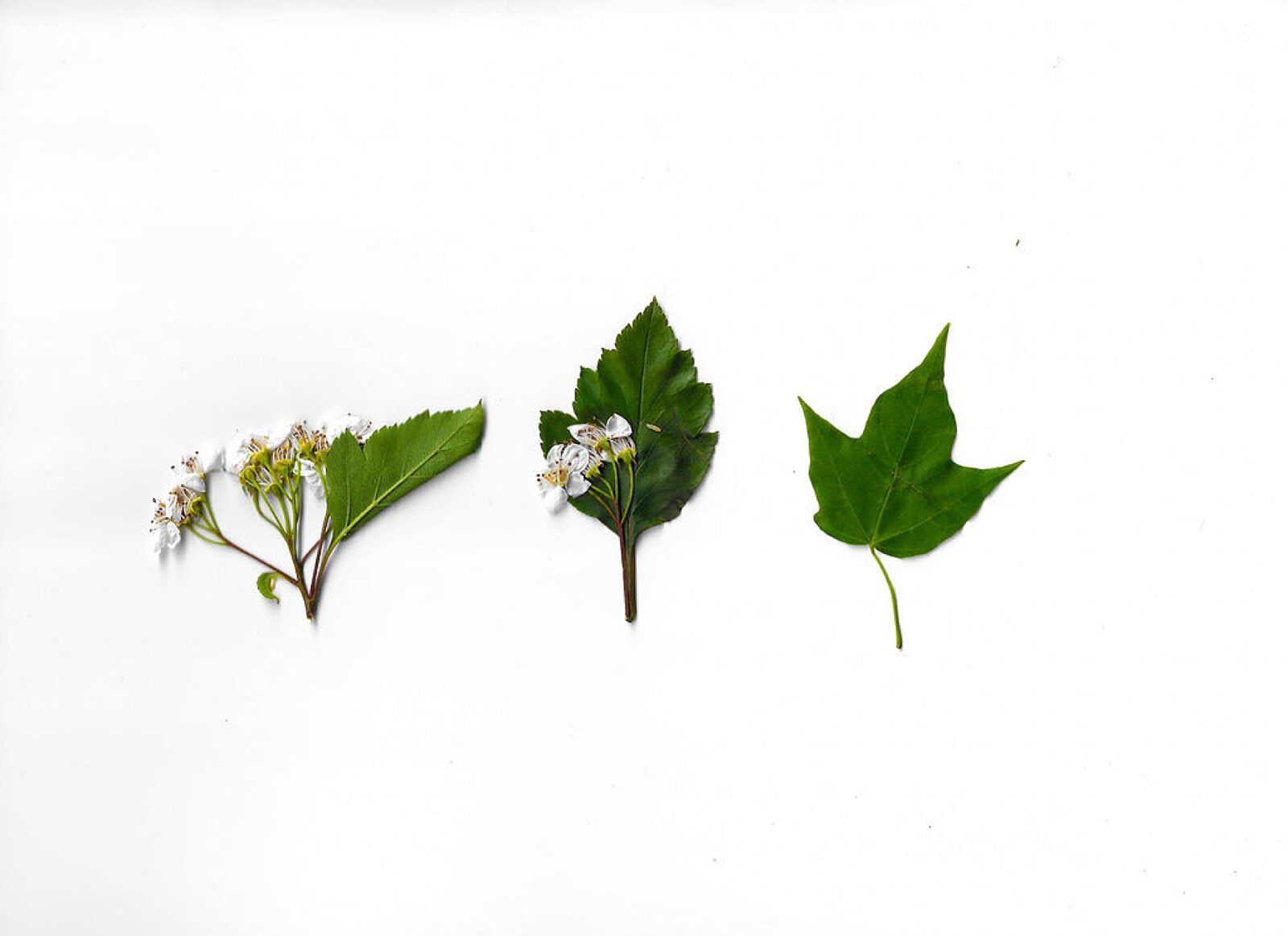 3 tips for shooting in harsh light - Eden Strader Blog