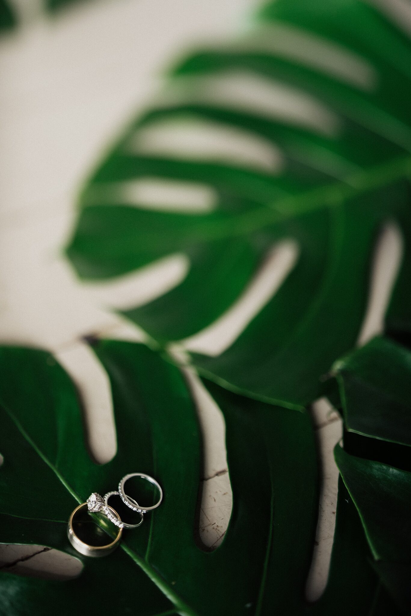 Best flash settings for indoor wedding receptions - Eden Strader Blog