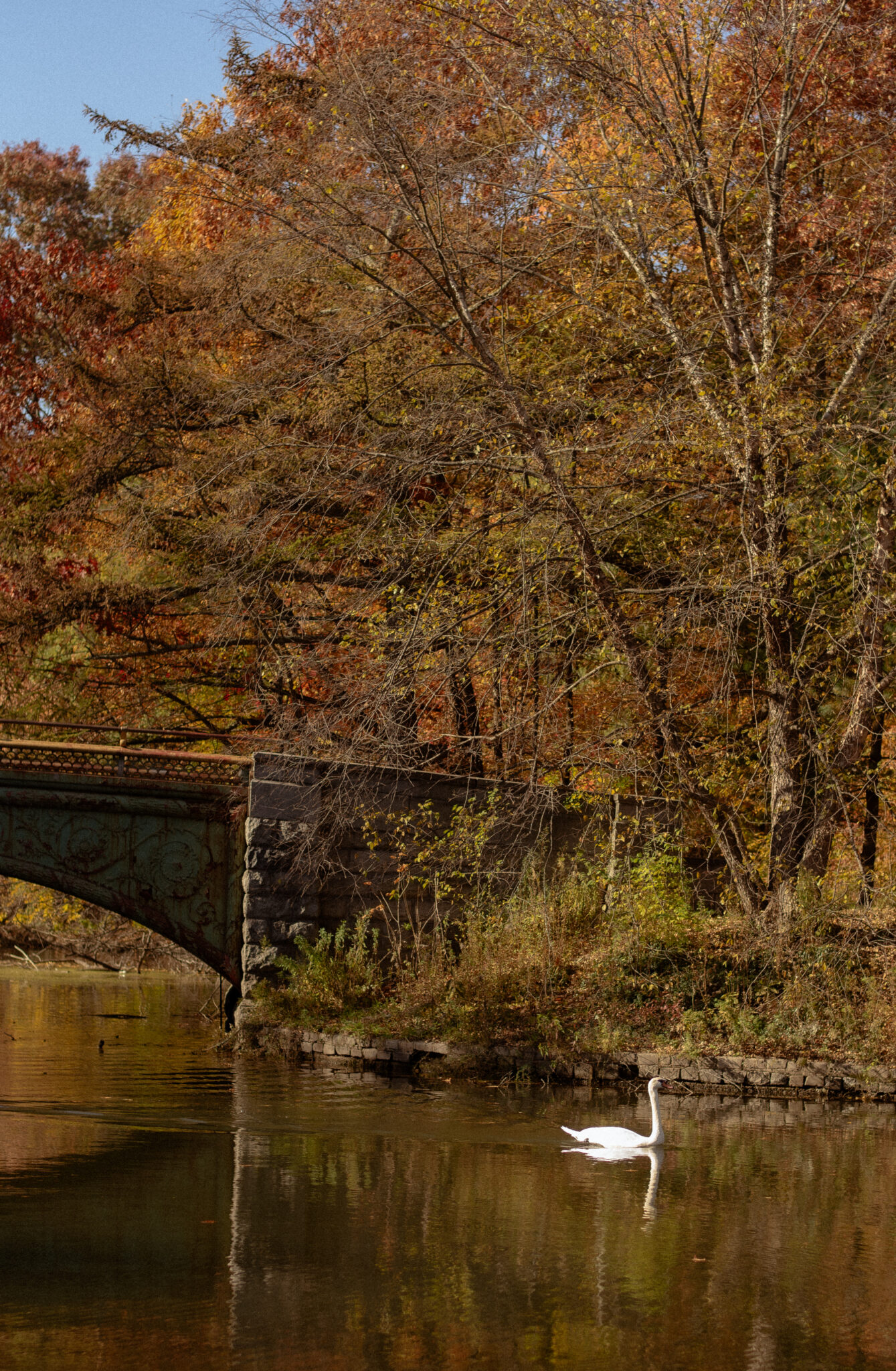 Prospect Park Boathouse Wedding - Eden Strader Blog